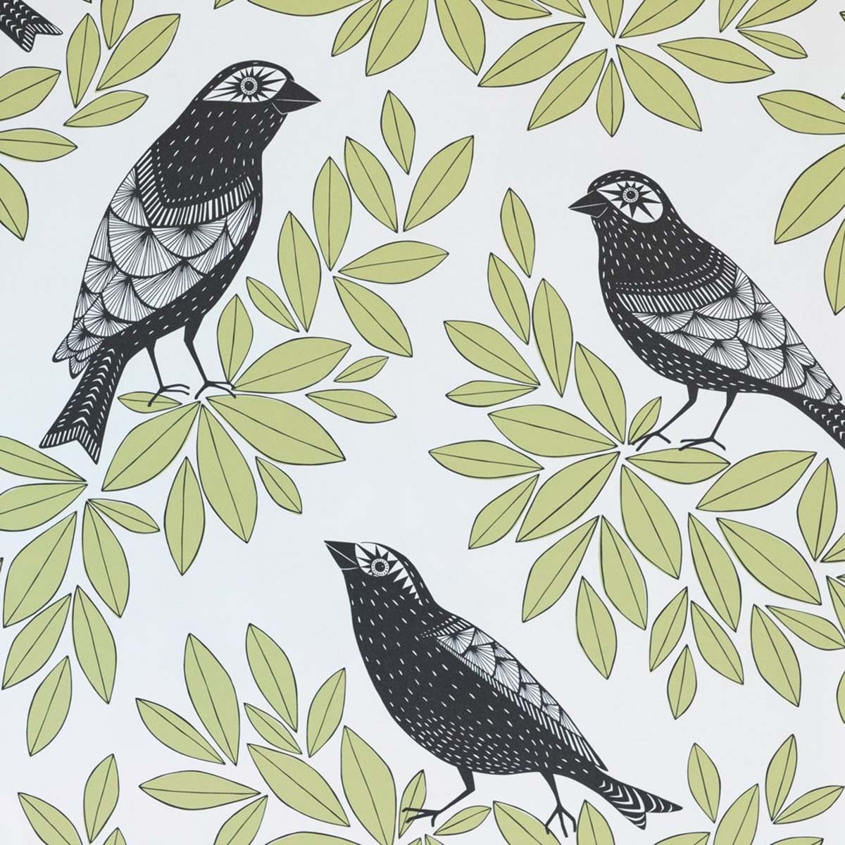 papier-peint-songbird-missprint.jpg (1200×1200) | Papier peint, Oiseau ...