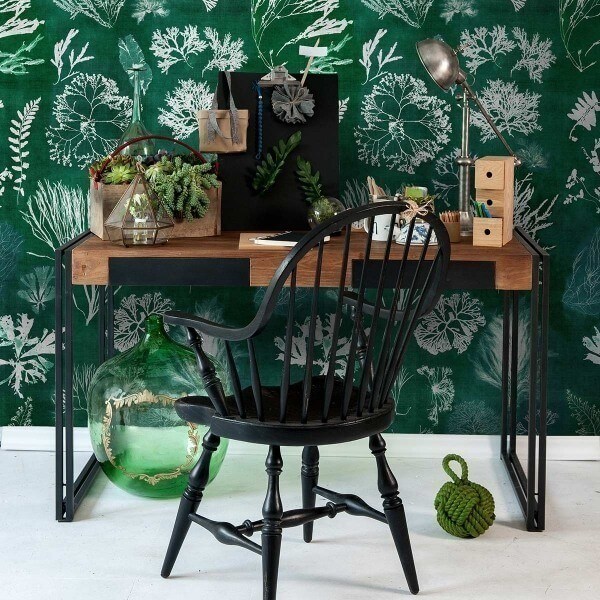 Algae Panel - Mindthegap