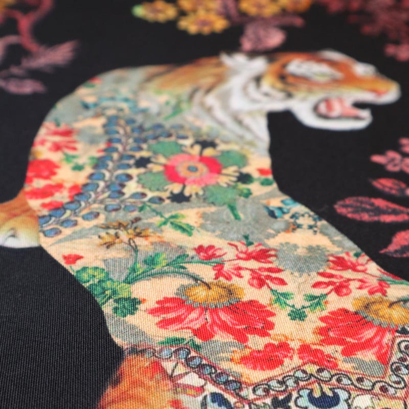 Siling Fabric - Etro