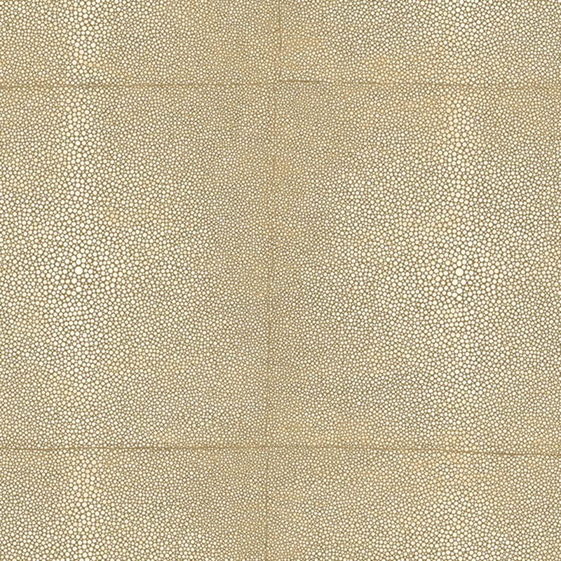 Shagreen wallcover - Arte