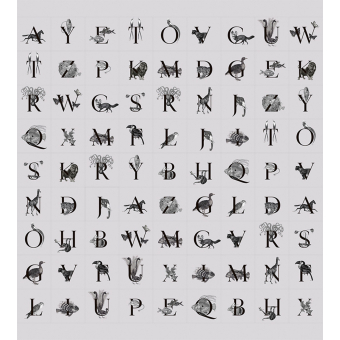 Animal Codex Panel - Wall&decò