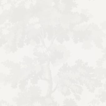 Raphaël Wallpaper - Sandberg