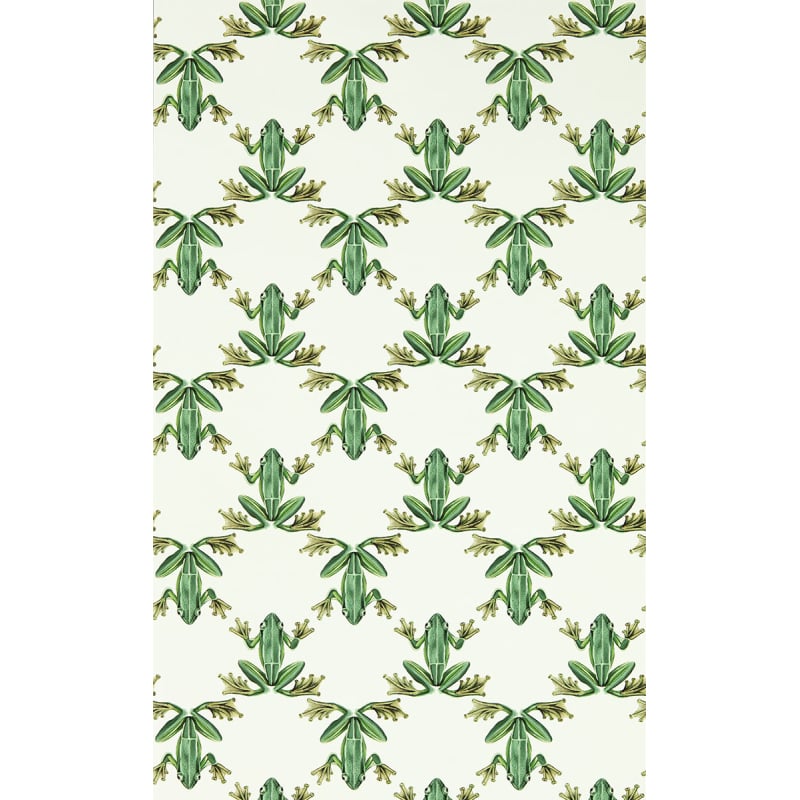 Wood Frog Wallpaper - Harlequin