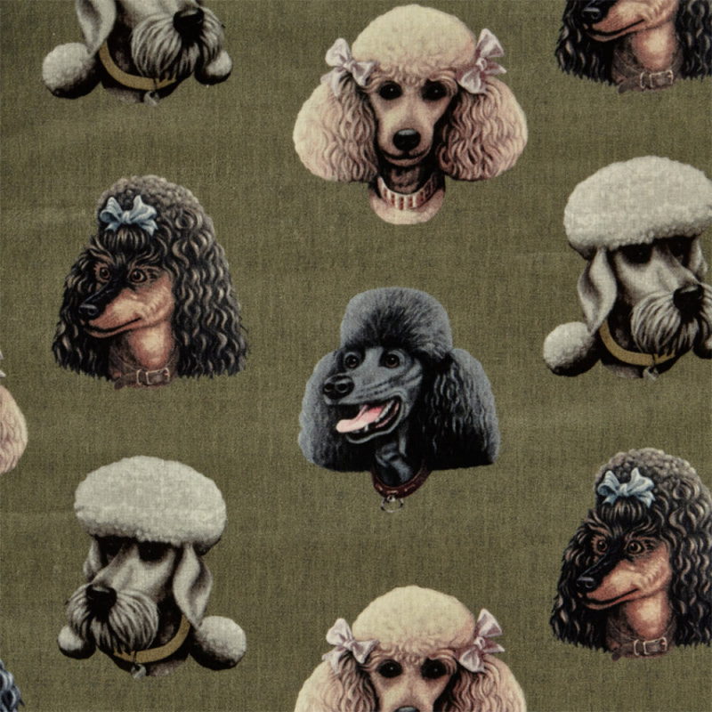 Velvet Poodle Parlor - Barboncino e bionda