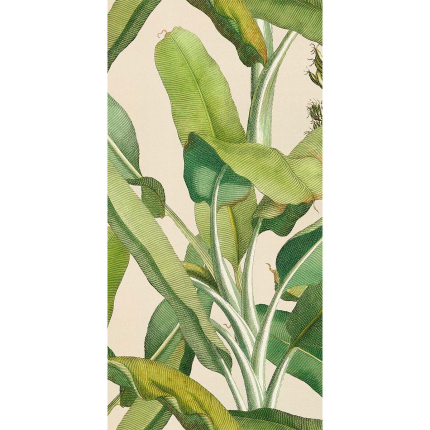 Musa large slab Porcelain stoneware 41zero42