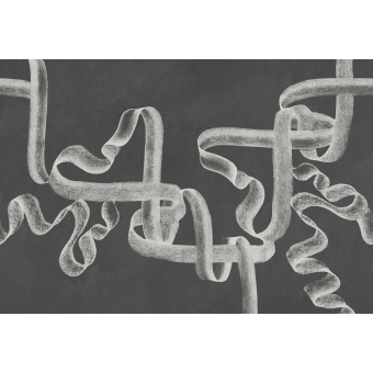 Ribbon Panel - Coordonné