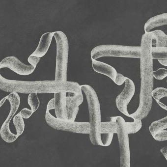 Ribbon Panel - Coordonné