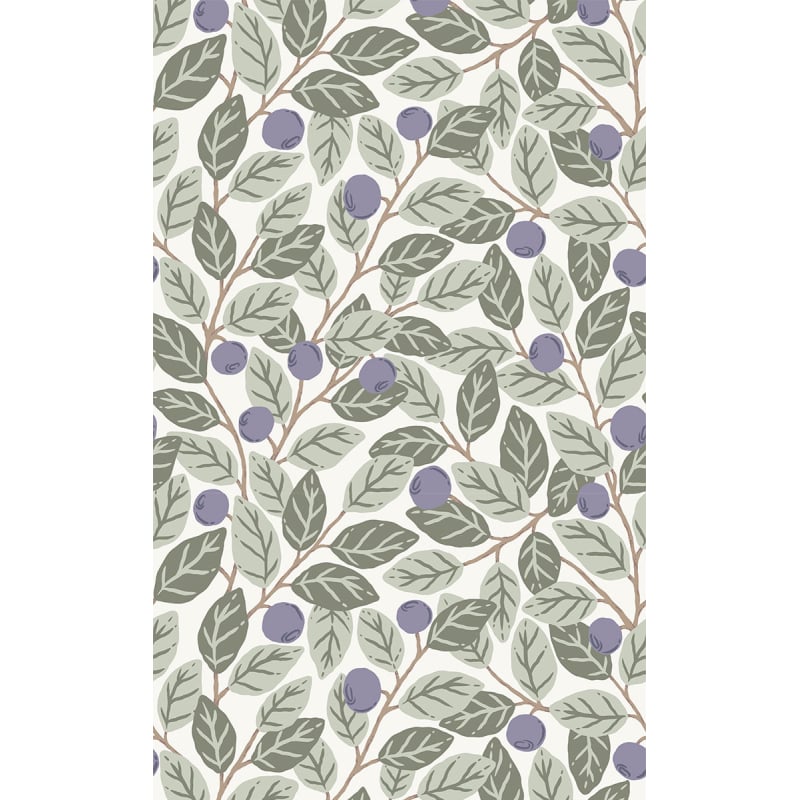 Blåklocka Stor Wallpaper - Midbec