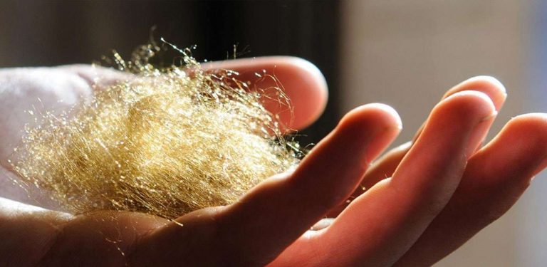 Le Byssus, au-delà de la légende des siècles - Blog